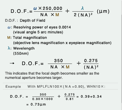 What is the Depth of Focus? | Learn about Microscope | Olympus
